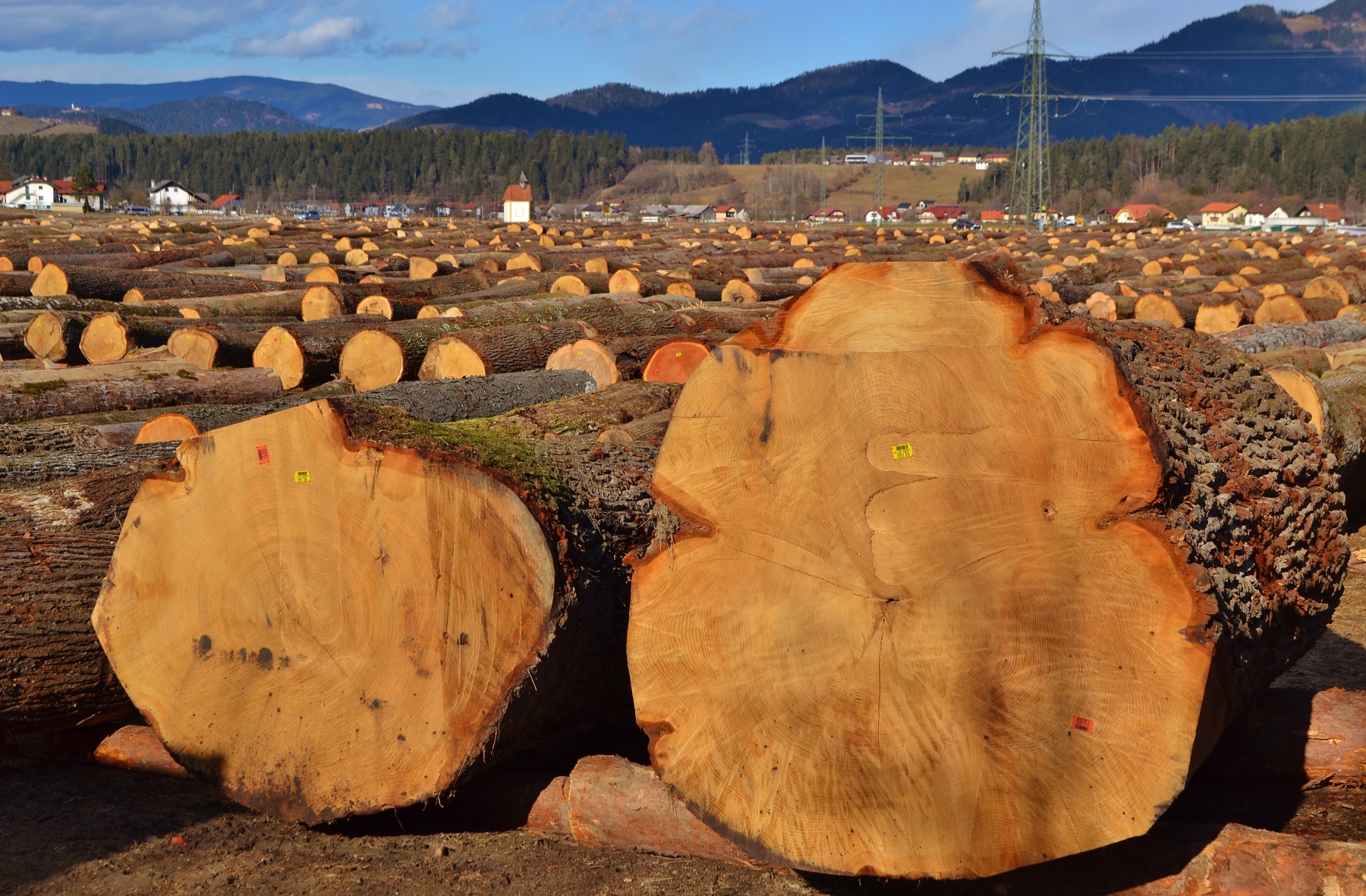 Rekordmenge Von 7000 Festmeter Holz Bei Der 14 Wertholzsubmission In