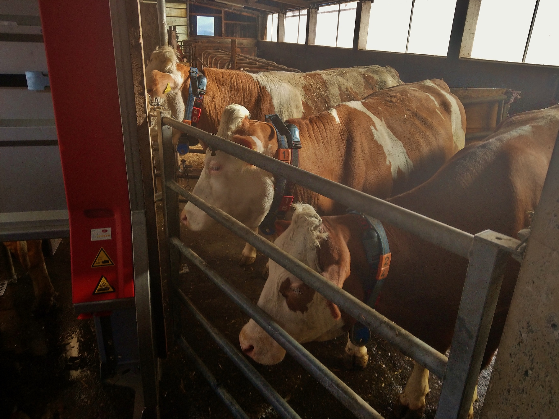 Neuer Melkroboter beim vulgo Fertschnig in Bach – Neuhaus – Kärnten ...