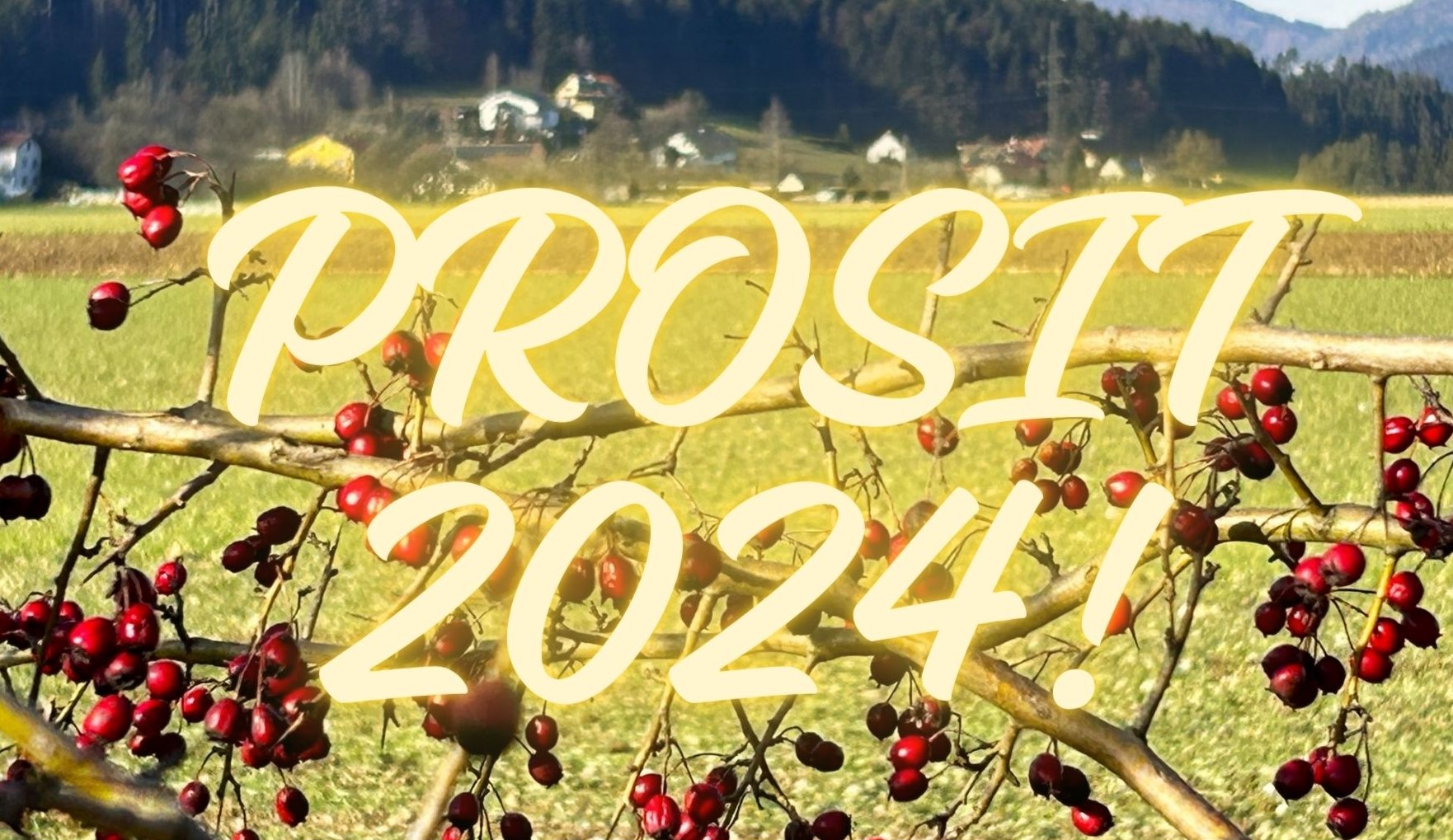 Prosit 2024! – Neuhaus – Kärnten – Österreich – Europa